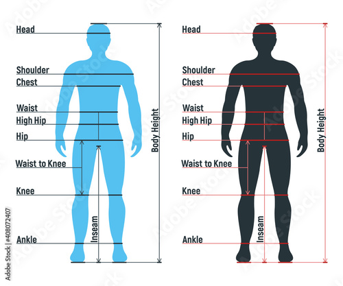 Male size chart anatomy human character, people dummy front and view ...