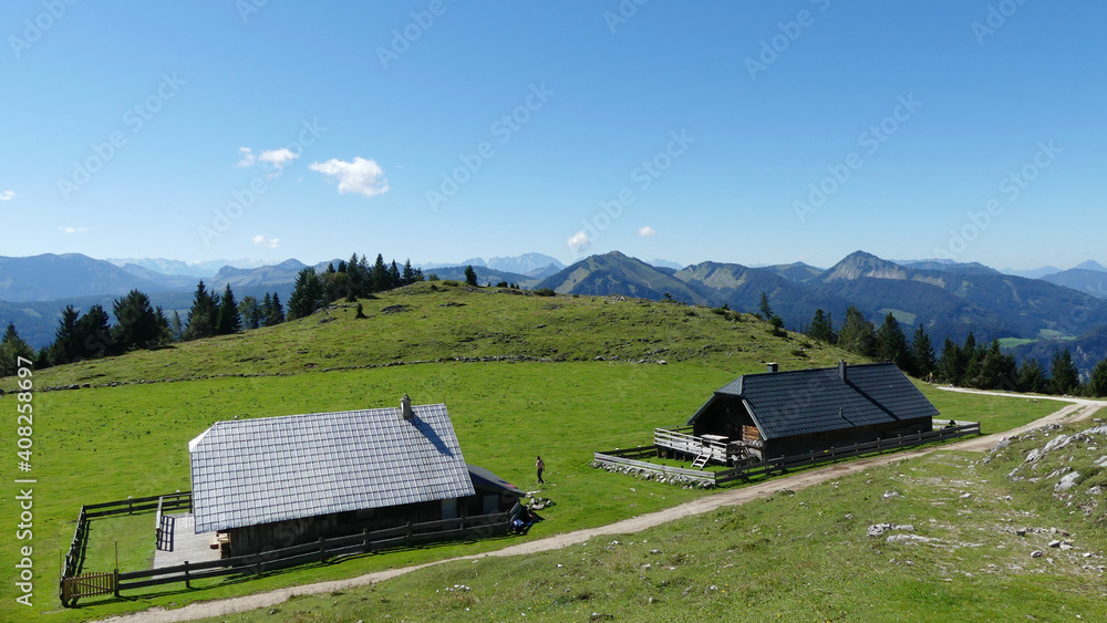 Schafbergalm oberhalb vom Wolfgangsee an der Schafbergspitze ...