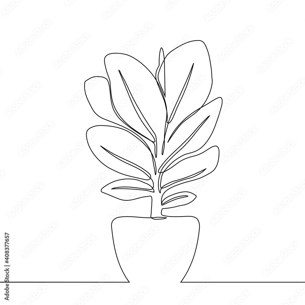 Ficus isolated on white background. Continuous one line drawing. Vector ...