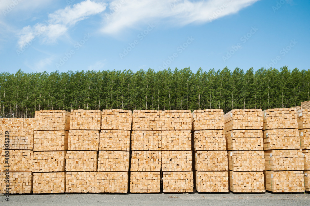 Orderly stacks of timber in timber plantation Stock Photo | Adobe Stock