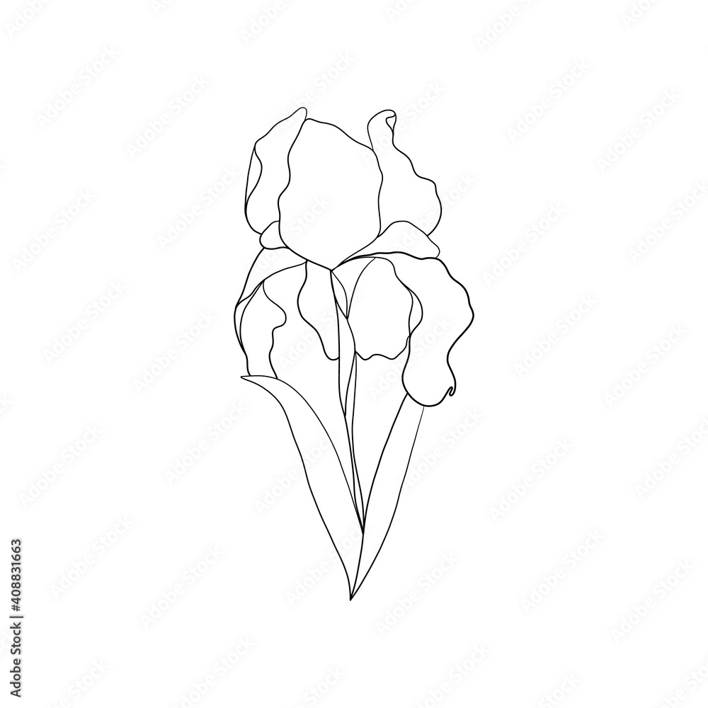 Abstract one line iris flower logo. Simple floral drawing minimalist ...