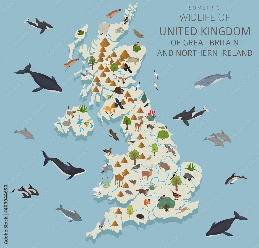 Isometric 3d design of United Kingdom wildlife. Animals, birds and ...