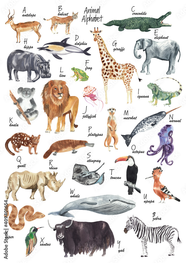 Illustration Stock Watercolor alphabet. Abc poster. Animal alphabet ...