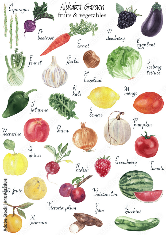 Watercolor vegetables and fruits alphabet Gardening alphabet Abc poster ...
