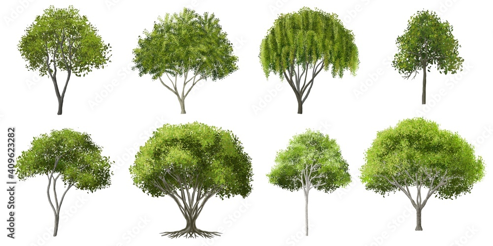 Collection of abstract watercolor green tree side view isolated on ...