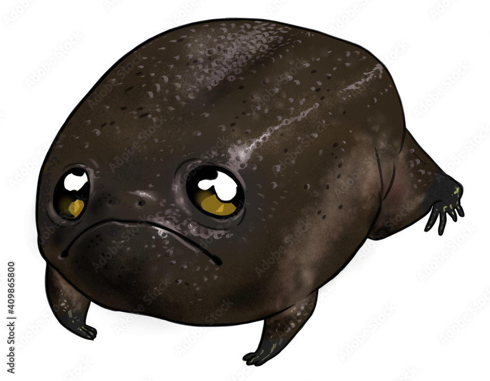Digital illustration of a cartoon black rain frog (Breviceps fuscus ...