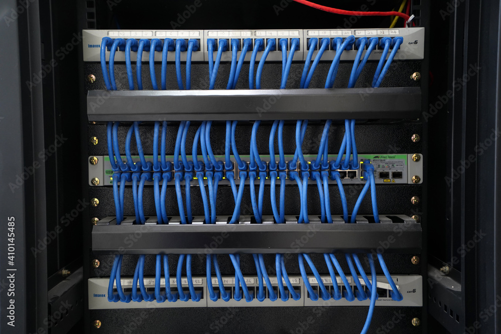 cat6 patch cord cables going from patch panel to 48 port network ...