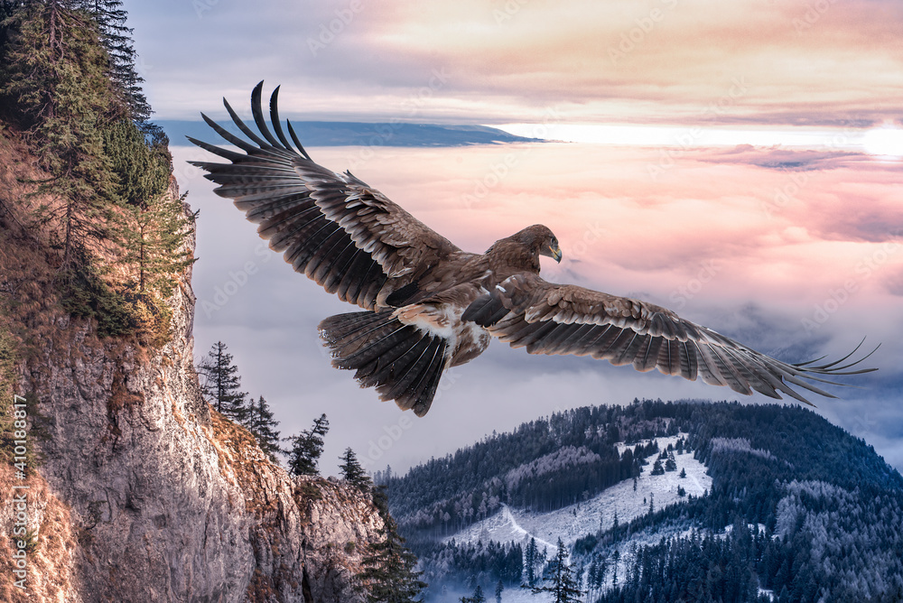 An eagle flies over the frozen mountains at beautiful dawn. Steppe ...