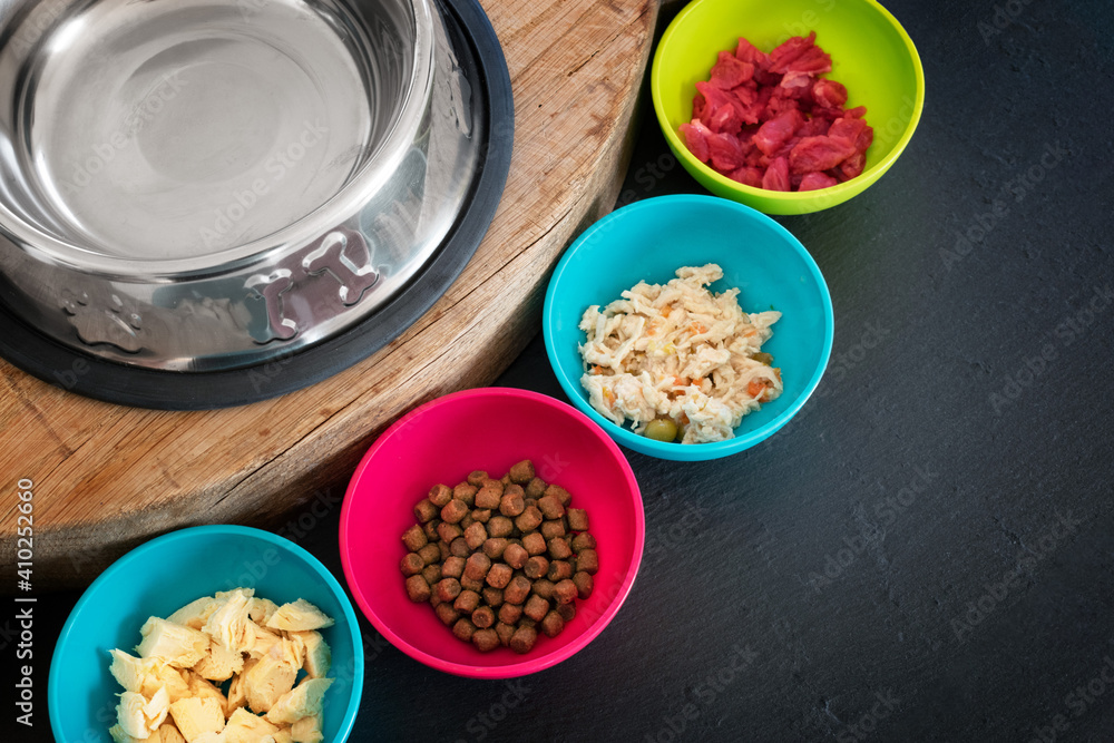 Cats nutrition concept. Different types of food for healthy feline ...