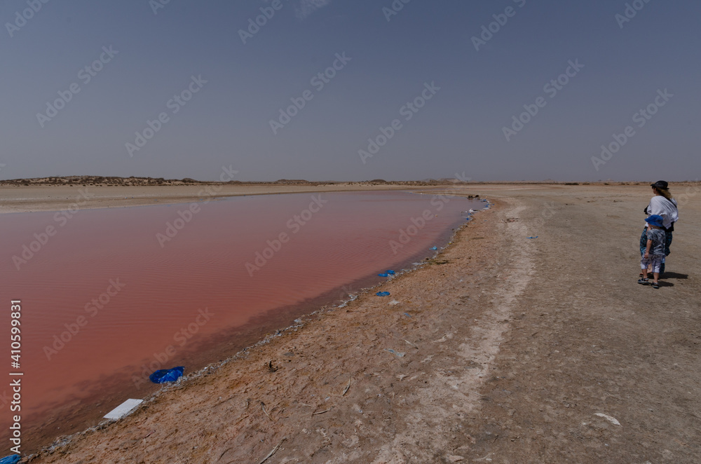 Pink lakes red color in Oman, caused by the presence of algae that ...