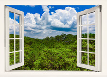 Spring Garden Window Frame View Free Stock Photo - Public Domain Pictures