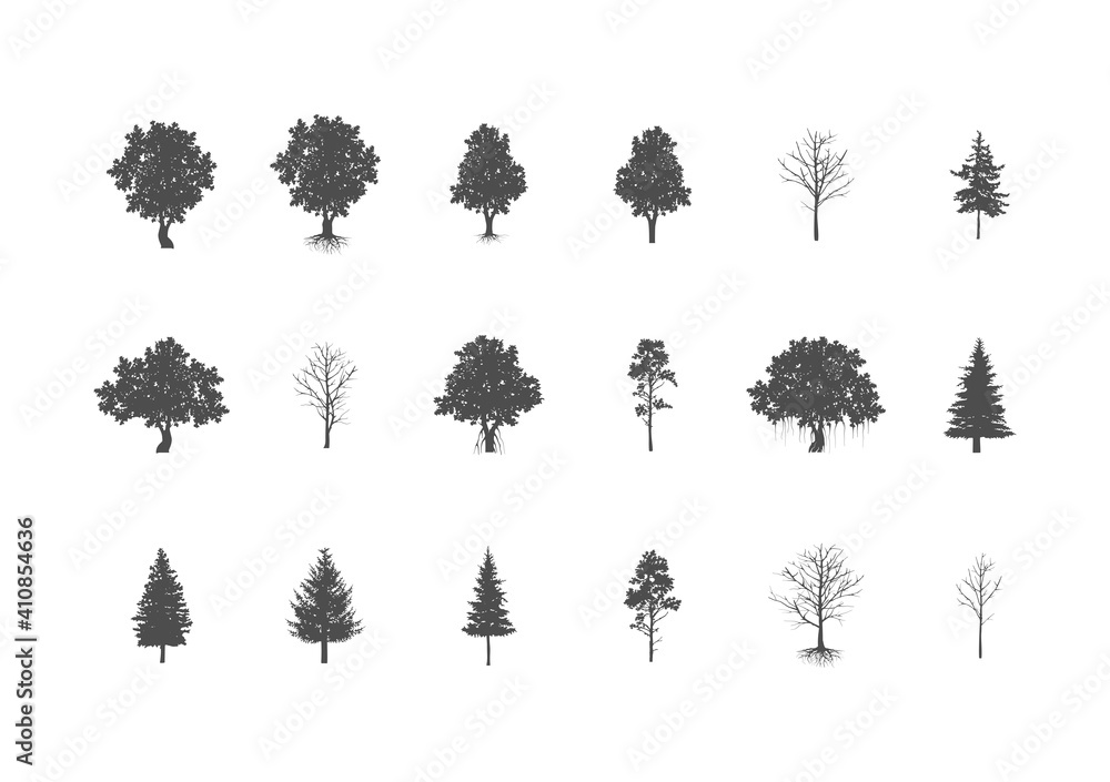 Silhouette Black Different Tree Types vector Stock Vector | Adobe Stock Silhouette Black Different Tree Types vector Stock Vector | Adobe Stock
