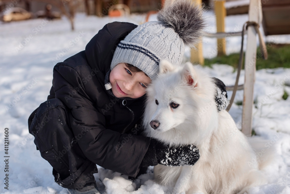 Portrait of a young boy hugging his favorite Japanese Spitz dog, a boy ...