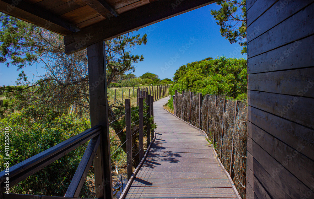 Ecological path. Wooden shed and pedestrian walkway made with recycled ...