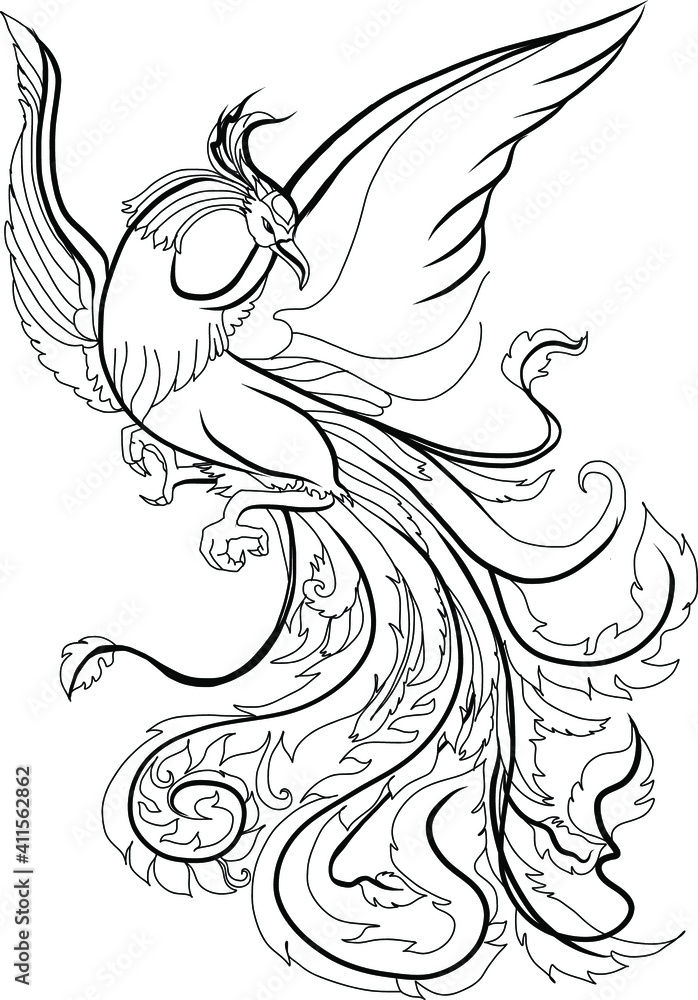 hoenix Fire bird illustration and character design.Hand drawn Phoenix ...