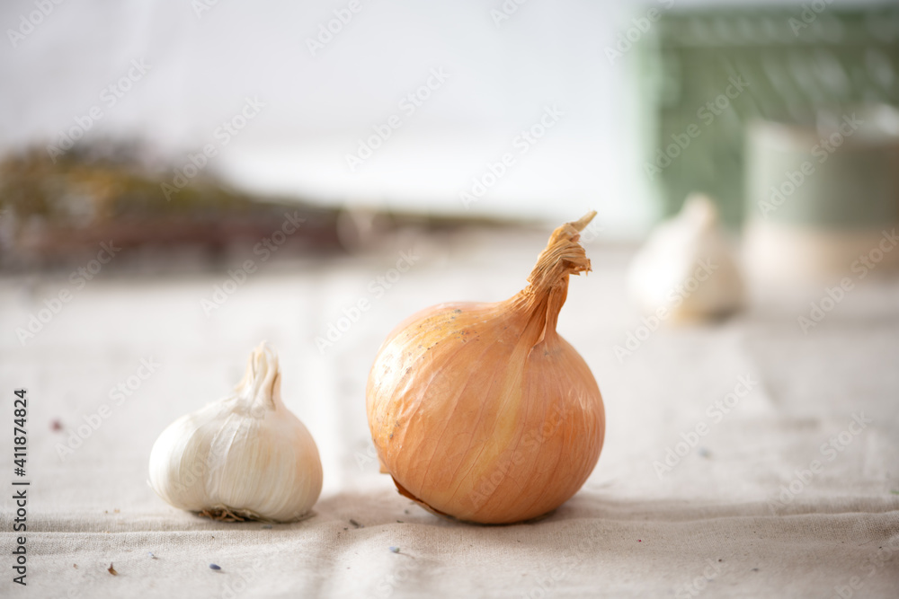 Garlic and yellow onion .Light designed studio photo. Homely designed ...