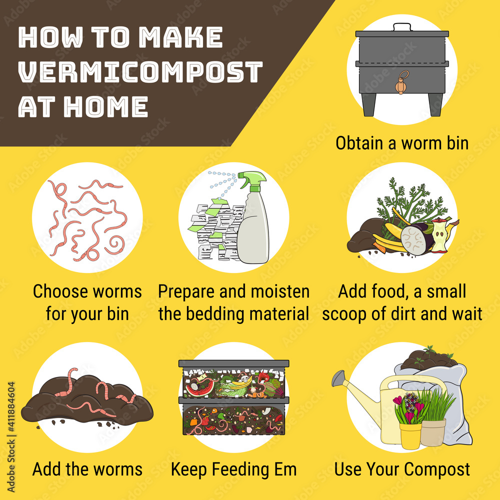 Infographic of vermicomposting. How to make vermicompost at home. Worm ...