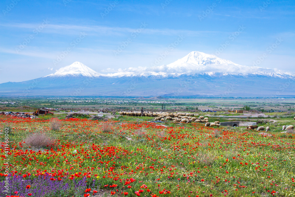 Mount Ararat (Turkey) at 5,137 m viewed from Yerevan, Armenia. This ...