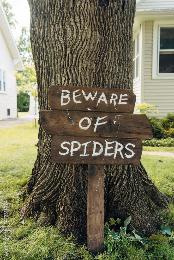 Wooden Beware of Spiders sign by a tree Stock Photo | Adobe Stock