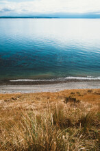 Oceanside Meadow Free Stock Photo - Public Domain Pictures