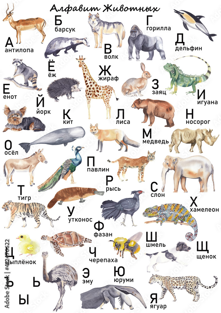 Watercolor animal alphabet Each animal is for each lettern for Russian ...