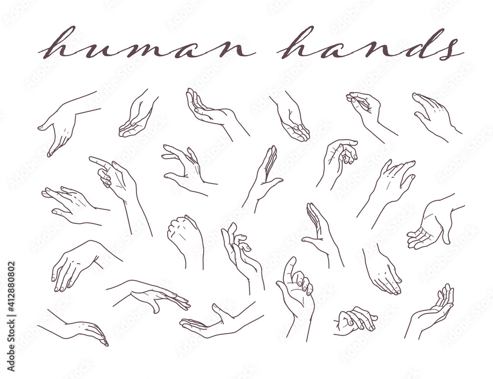 Collection of human hands in different gestures and posses isolated on ...