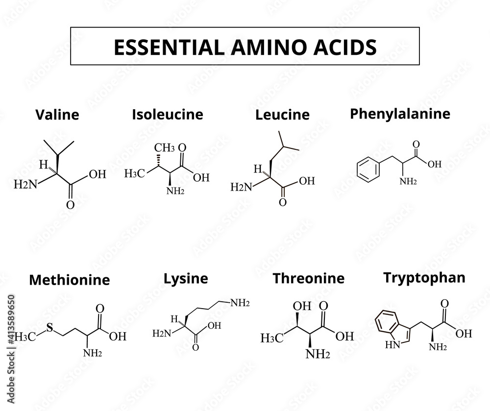 Essential amino acids. A set of amino acids. Chemical molecular ...