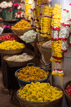 Goan Flowers Free Stock Photo - Public Domain Pictures