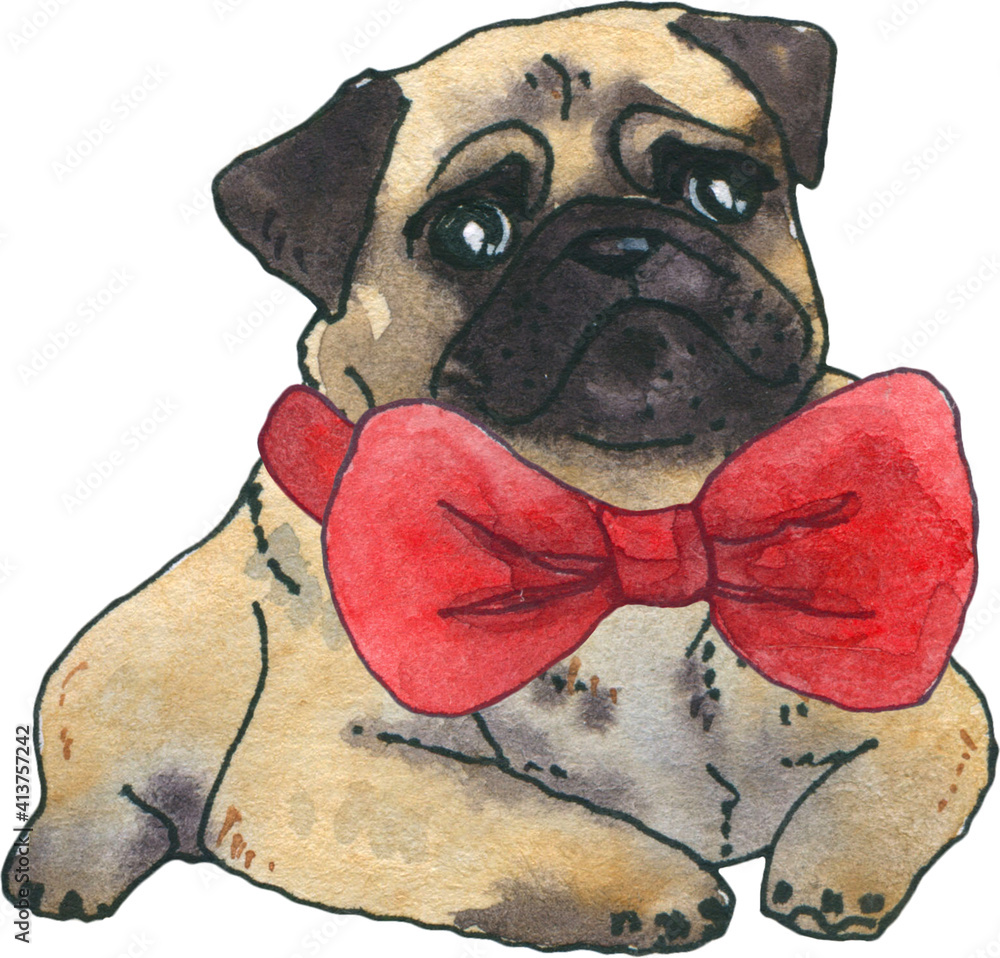 pug clip art watercolor clipart birthday party digital clipart dog ...
