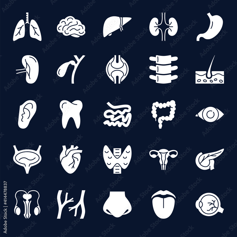 Anatomy icons collection with human internal organs symbols Stock ...