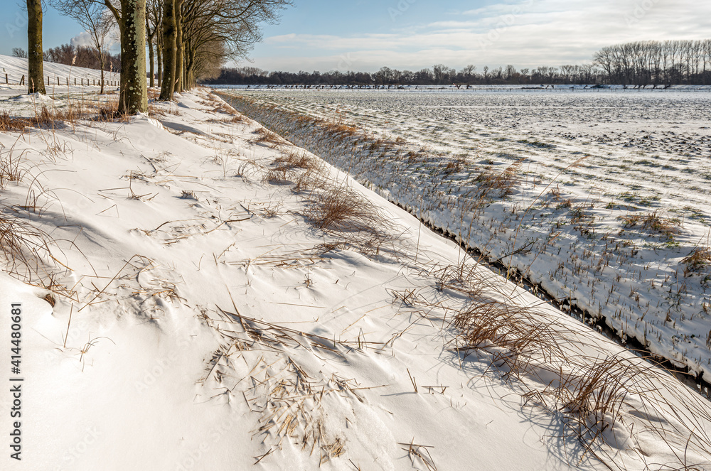 Dutch agricultural landscape in winter. Everything is covered with a ...