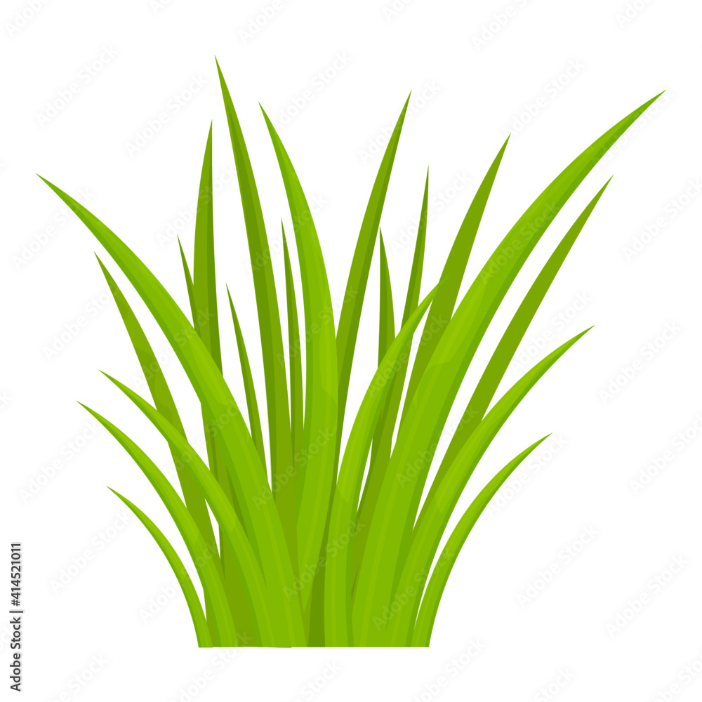 Green grass in cartoon style, bright herb isolated on white background ...
