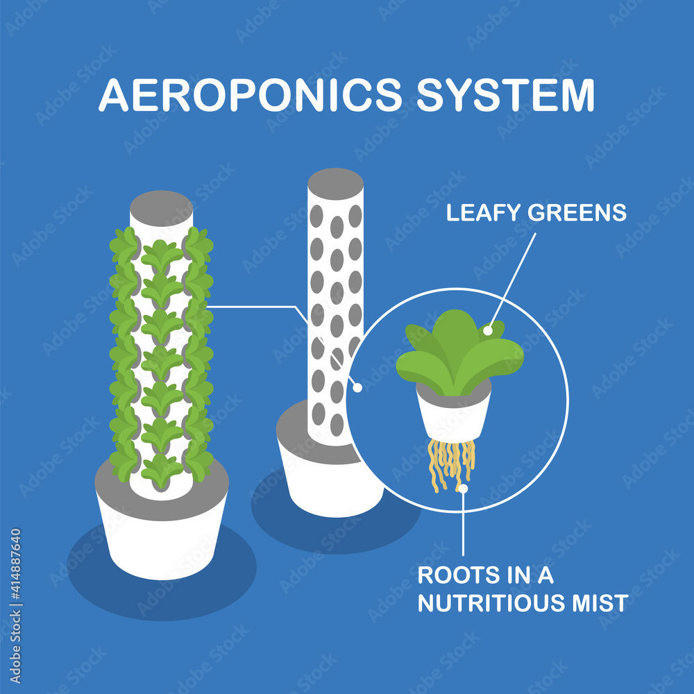 Vertical aeroponic system for growing plants without soil. Vegetables ...