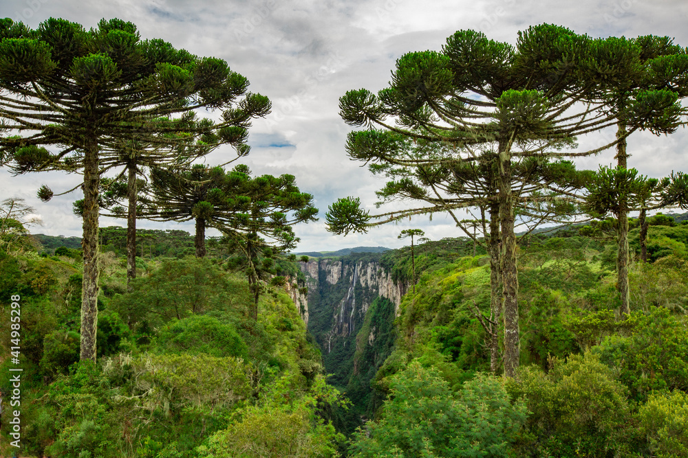 Beautiful view of the Itaimbezinho Canyons in Cambará do Sul. Brazil ...