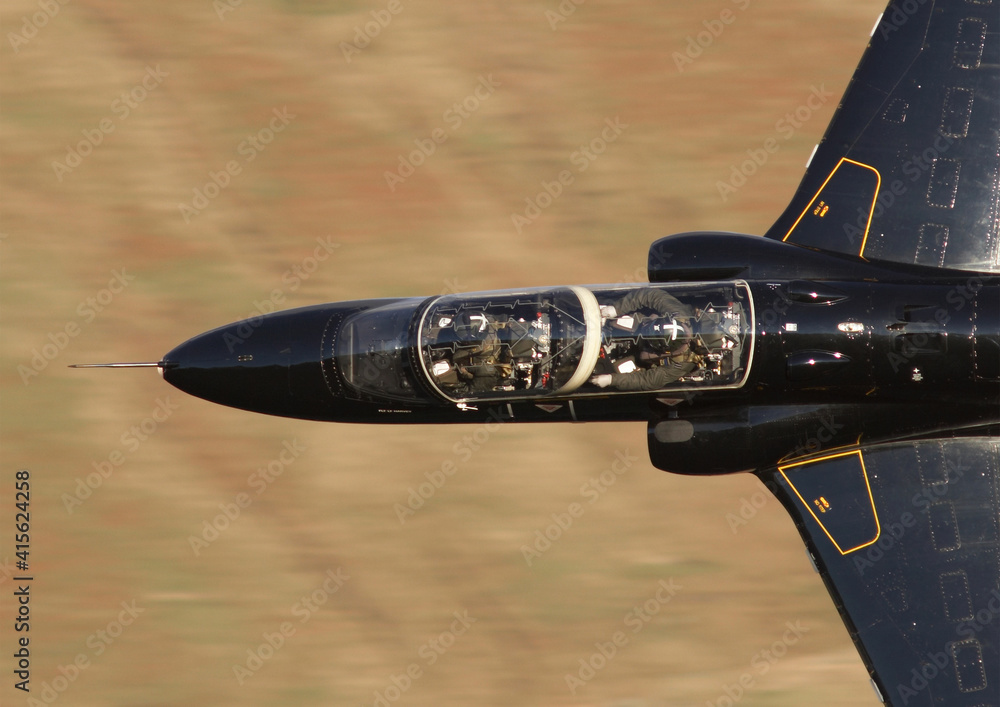 Royal Air Force (RAF) Hawk T1 jet trainer, top view of the pilots in ...
