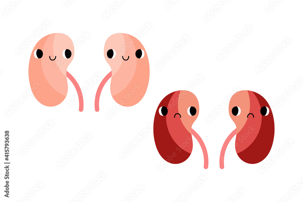 Cute kidneys characters with smiling and sad face. Funny kawaii human ...