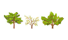 Prune Poza gratuite - Public Domain Pictures