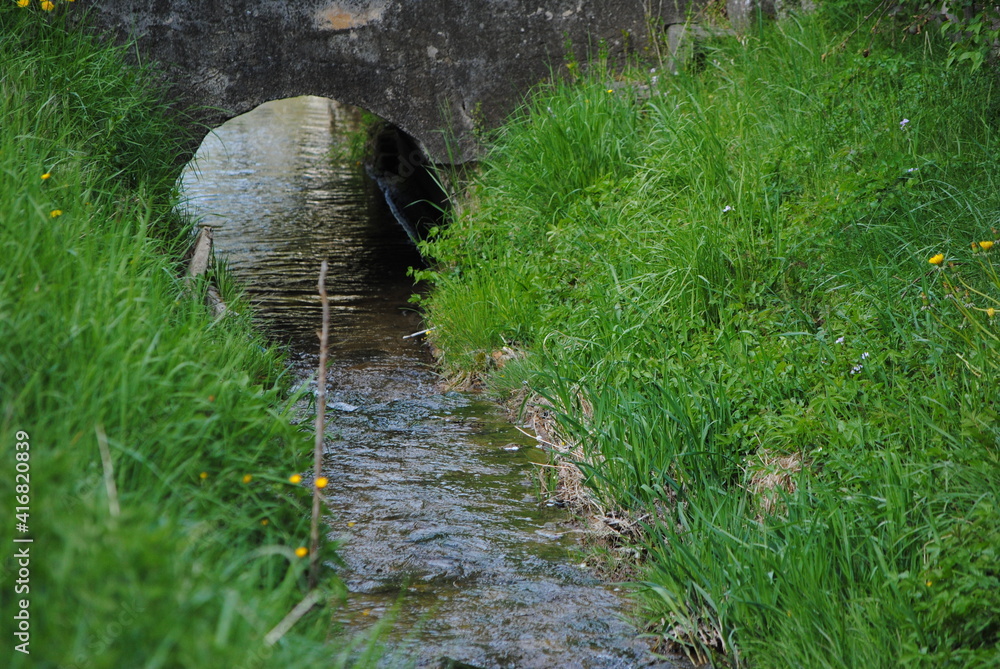 Petit ruisseau avec pont avec les deux rives pleines d'herbes vivaces ...
