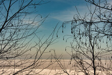 Gray Haze Background Free Stock Photo - Public Domain Pictures