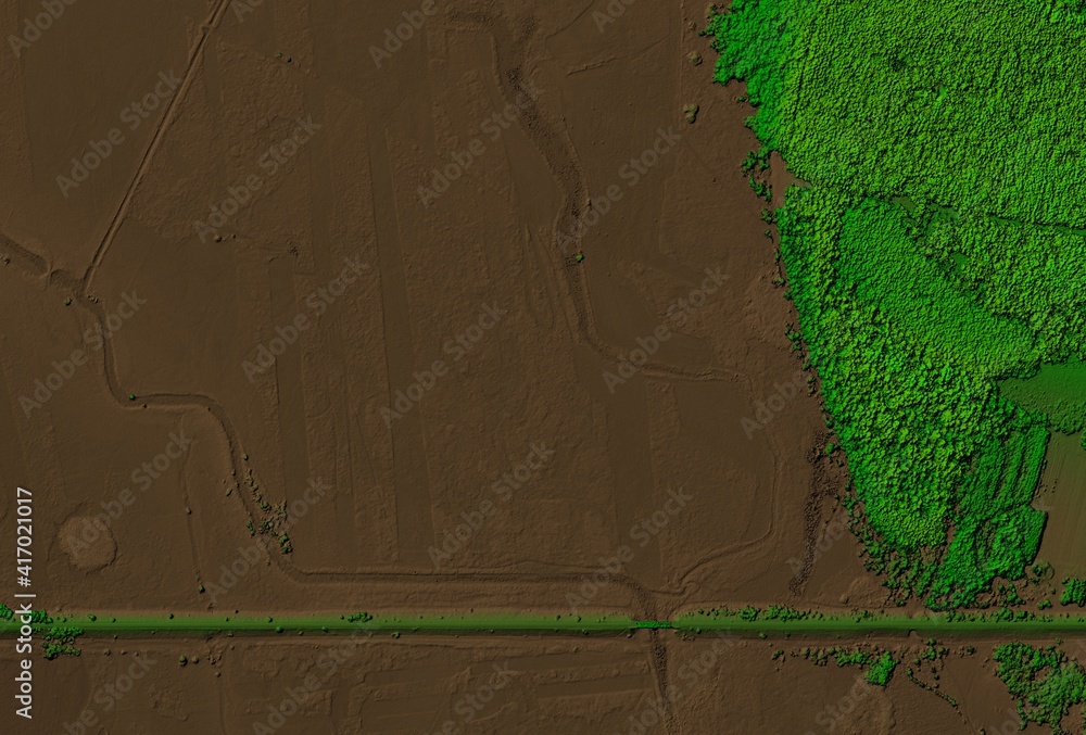 Digital elevation model of a forest area with a swampy terrain. GIS ...