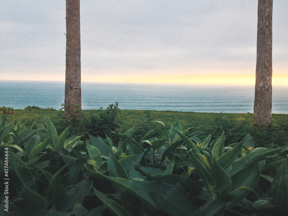 Sunset between two palm trees from the pier of Miraflores in Lima, Perú ...