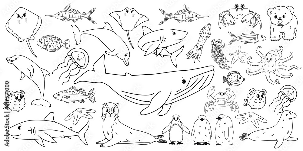 Big set vector cartoon outline isolated sea ocean north animals. Doodle ...
