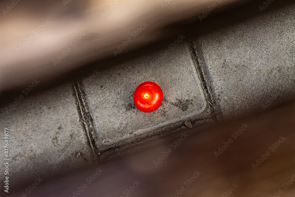 a concept photo where a ripe cherry tomato is laid on the city asphalt ...