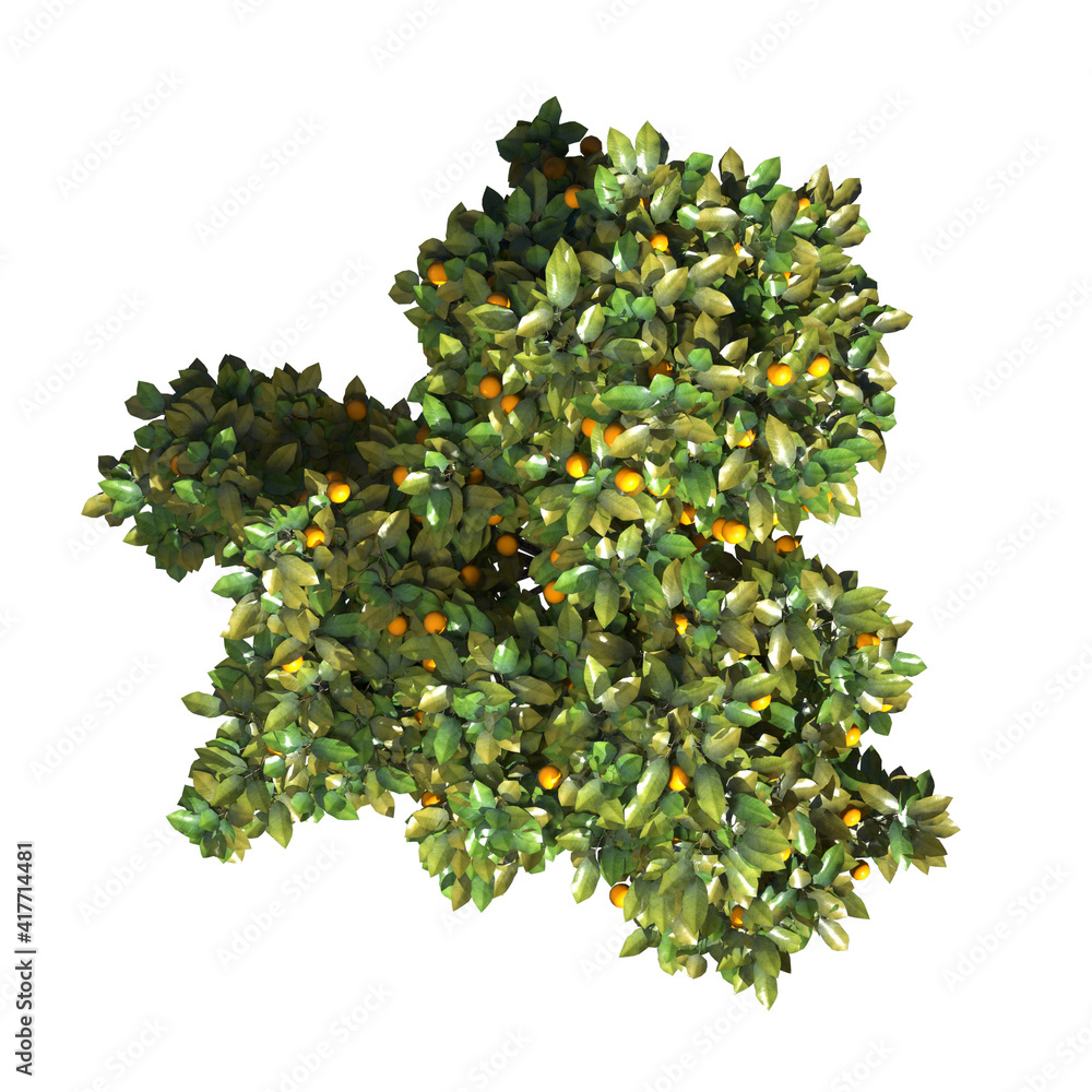 VEGETATION TOP VIEW - TREES AND BUSHES IN PLAN Stock Illustration ...