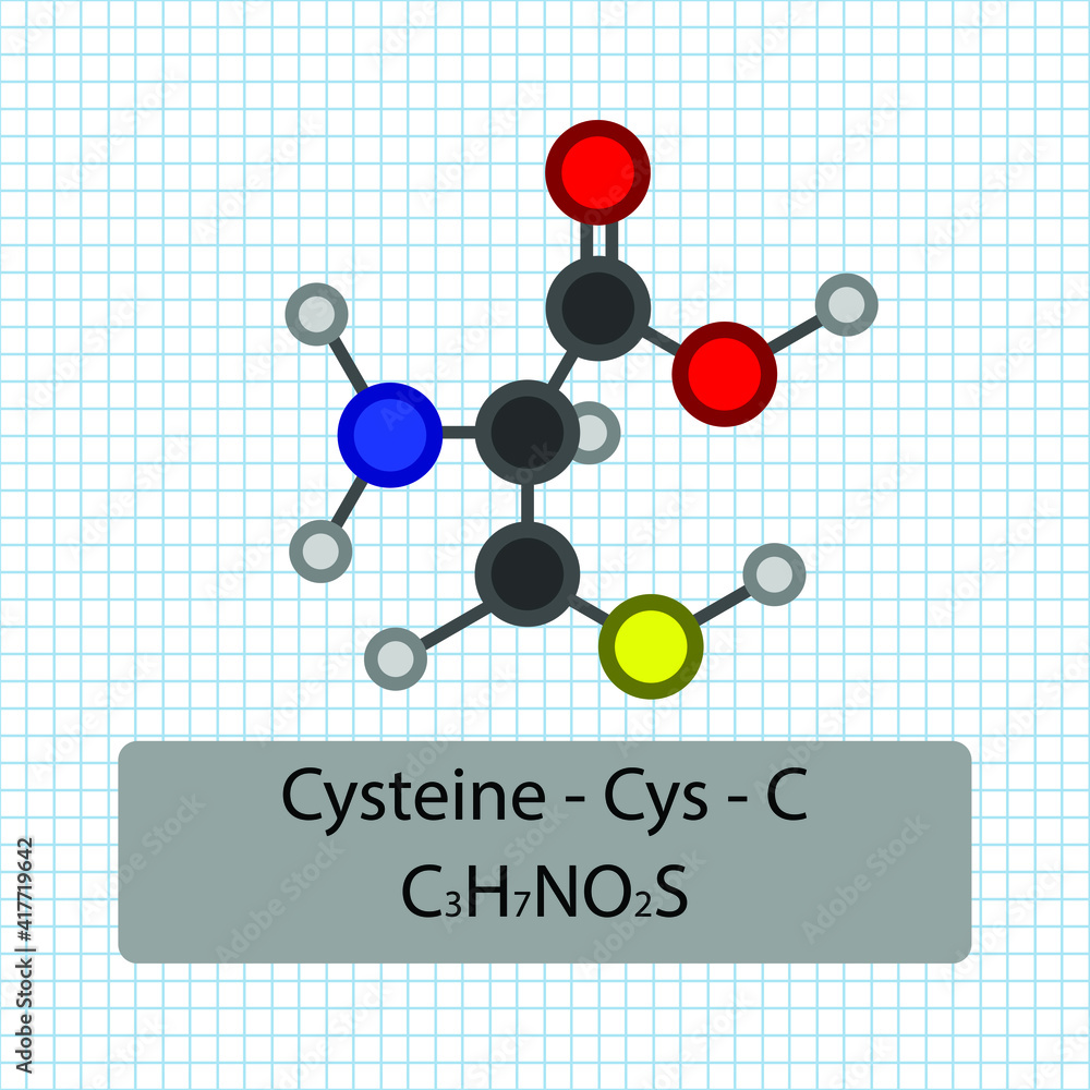 Cysteine - Cys - C - Amino Acid molecular formula and chemical ...