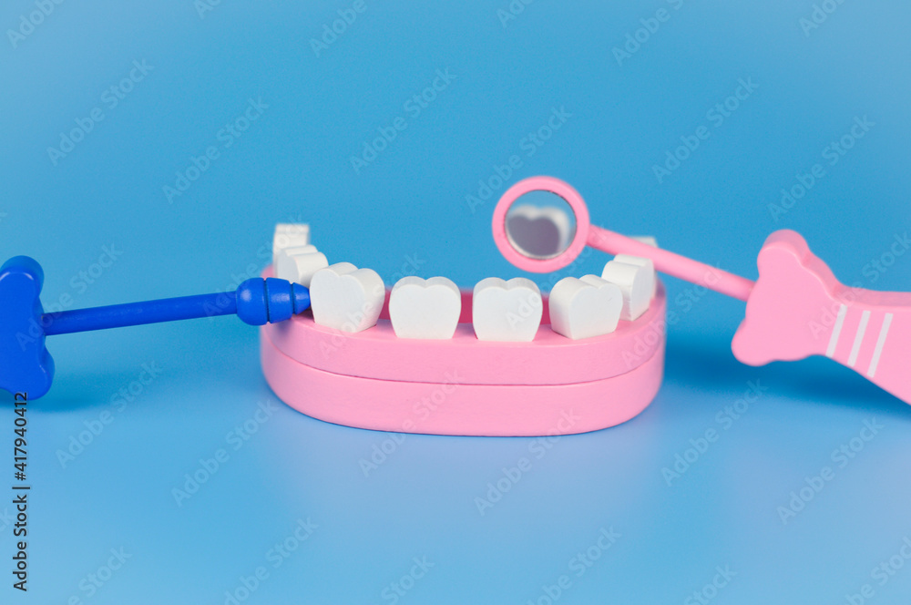 dentistry for children. model of teeth and dentist tools for teaching ...