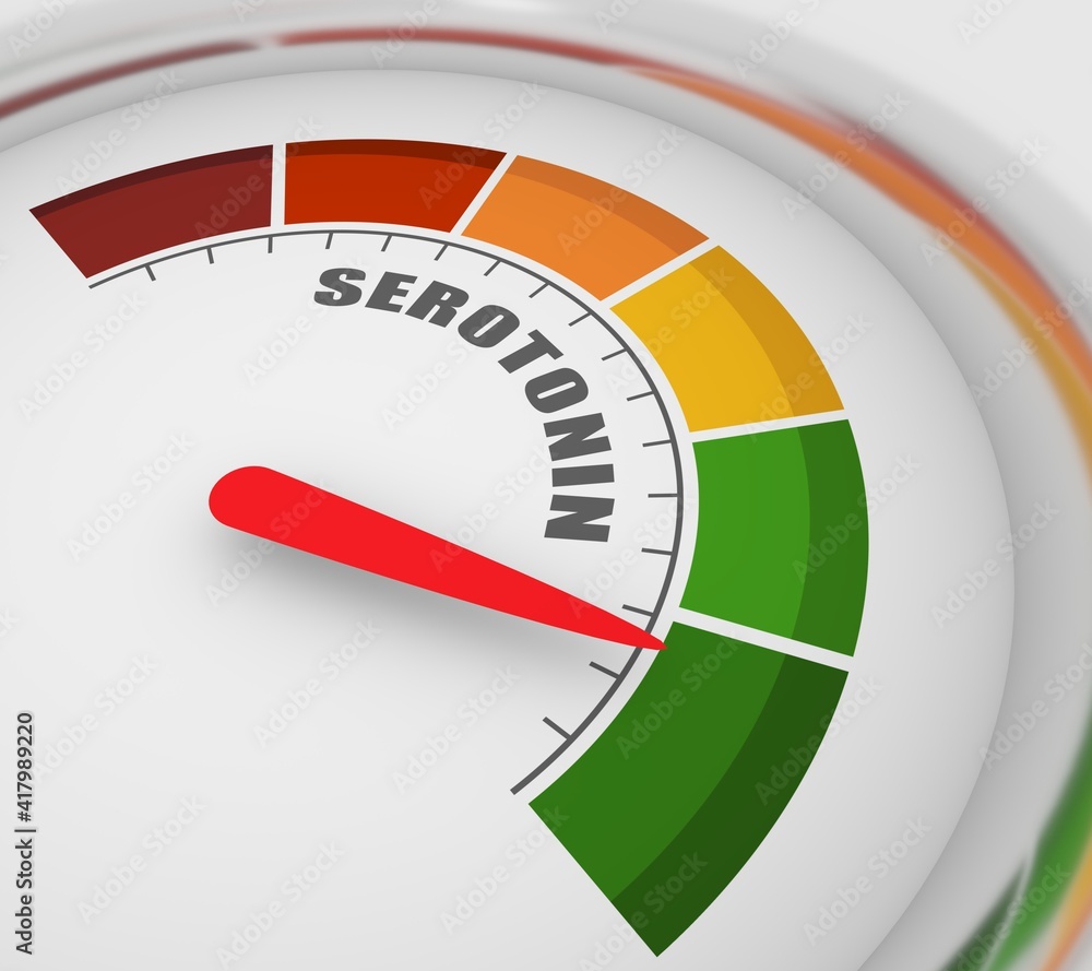Gradient scale. Hormone serotonin level measuring device. Sign ...