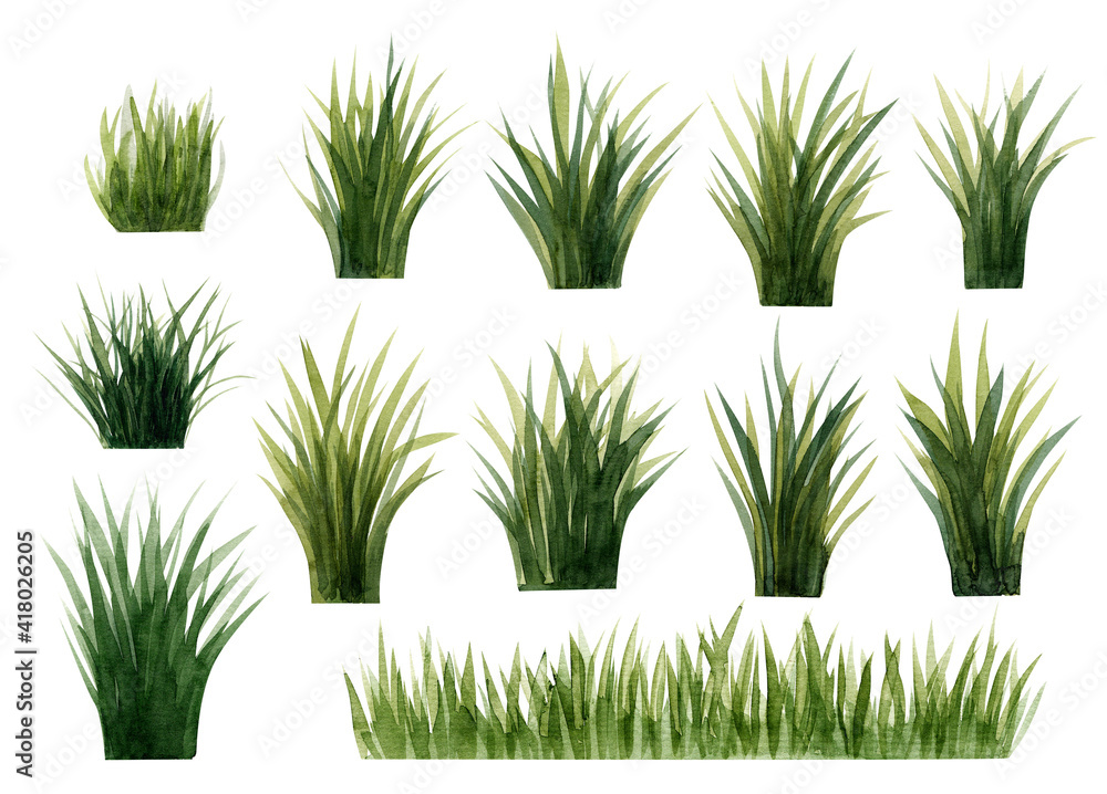 Set of green watercolor marsh tuft of grass (reed, cattail, tussocks ...