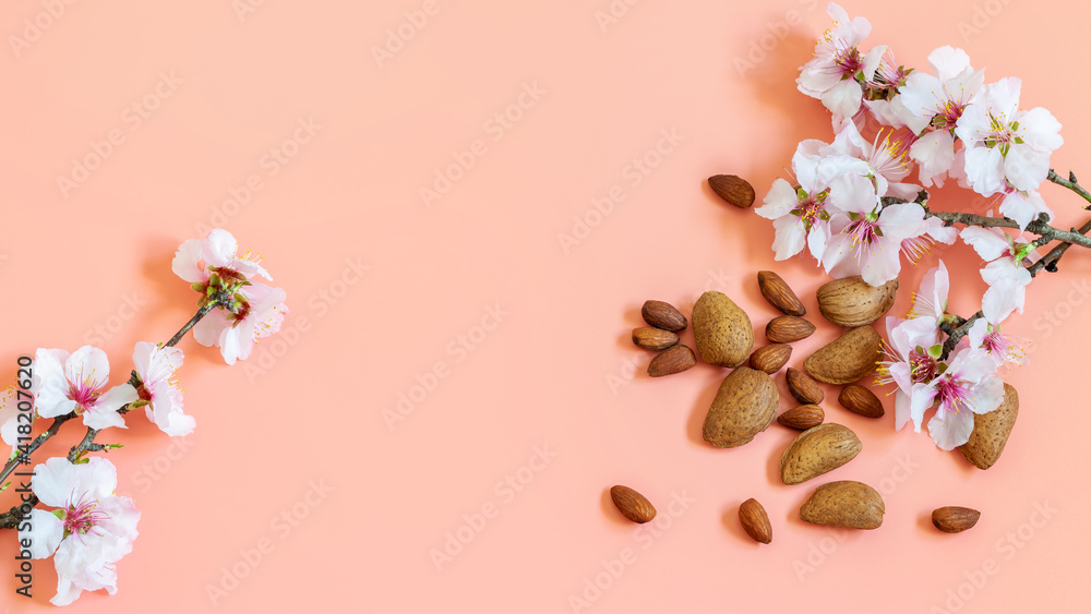 Almond blossom branches and almond fruits on the pink background ...