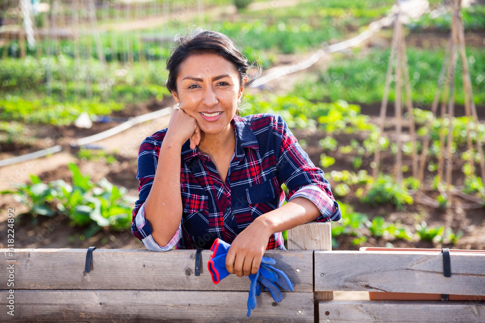 Hardworking woman on farm resting by fence with gloves in hand Stock ...